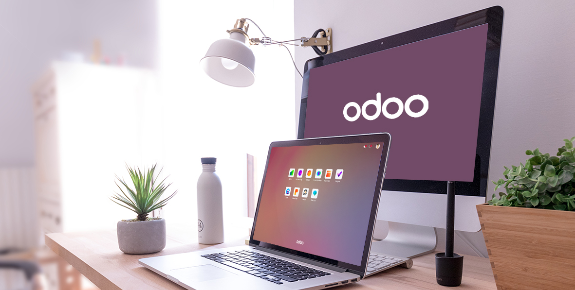 ¿Cómo elegir un partner de Odoo? | BIRTUM