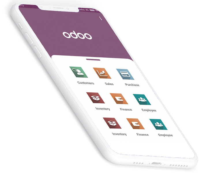 BIRTUM | Servicios odoo